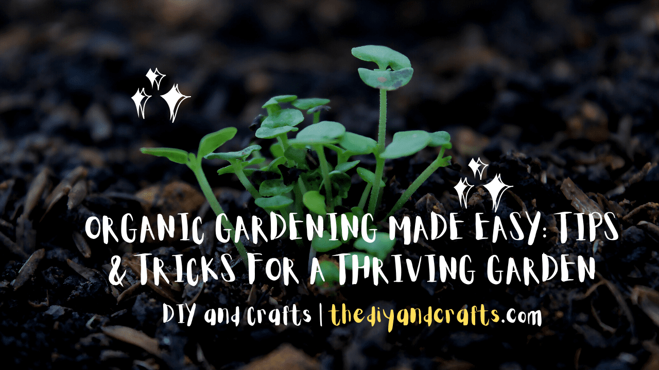 Organic Gardening Made Easy: Tips & Tricks for a Thriving Garden – The DIY and Crafts